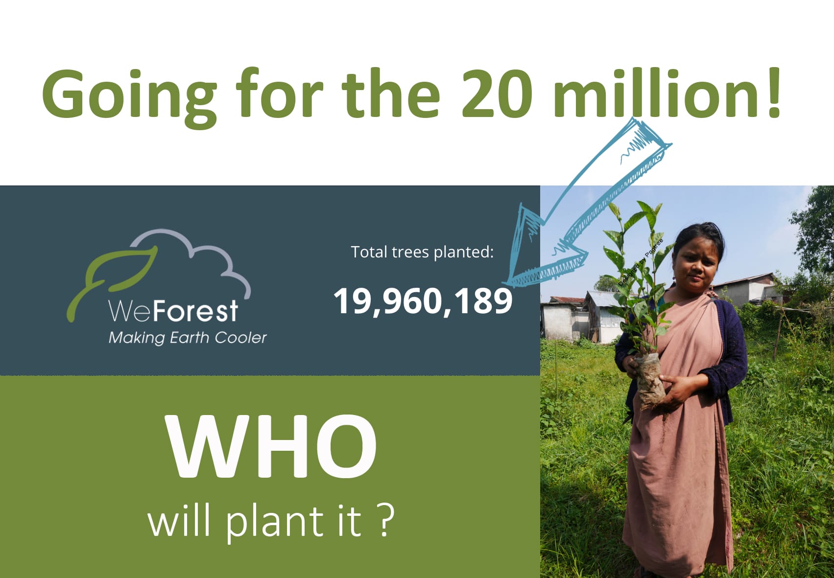 Champions of Change: WeForest's Impact Makers