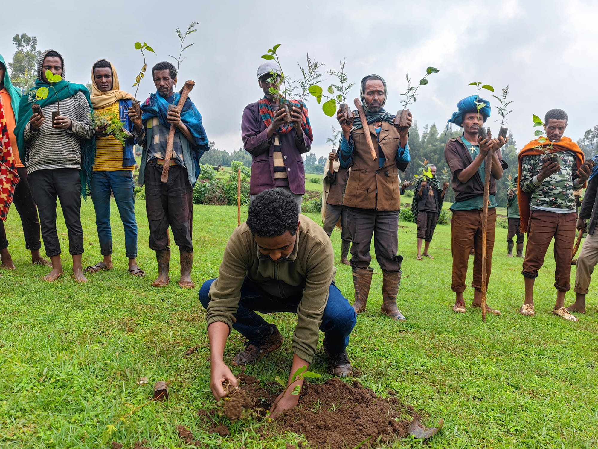 Celebrating the First Planting in Gewocha! - WeForest