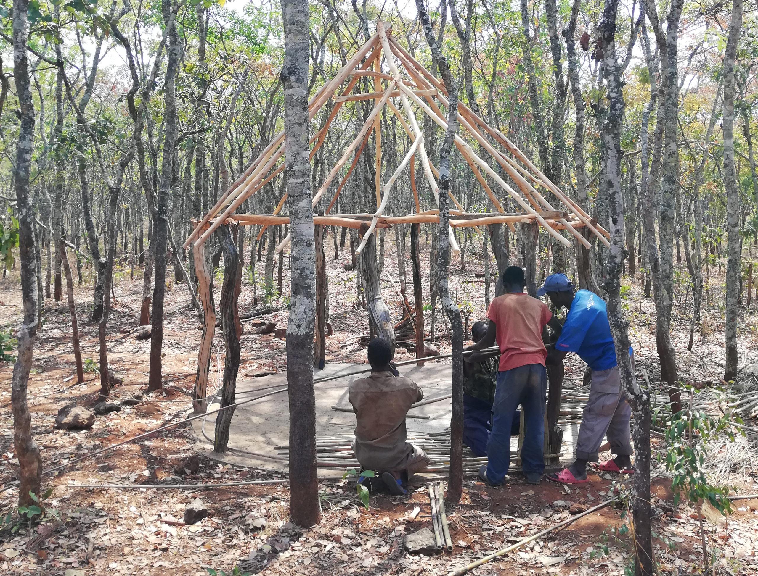 Embracing Rainy Seasons: Readying Ourselves - WeForest