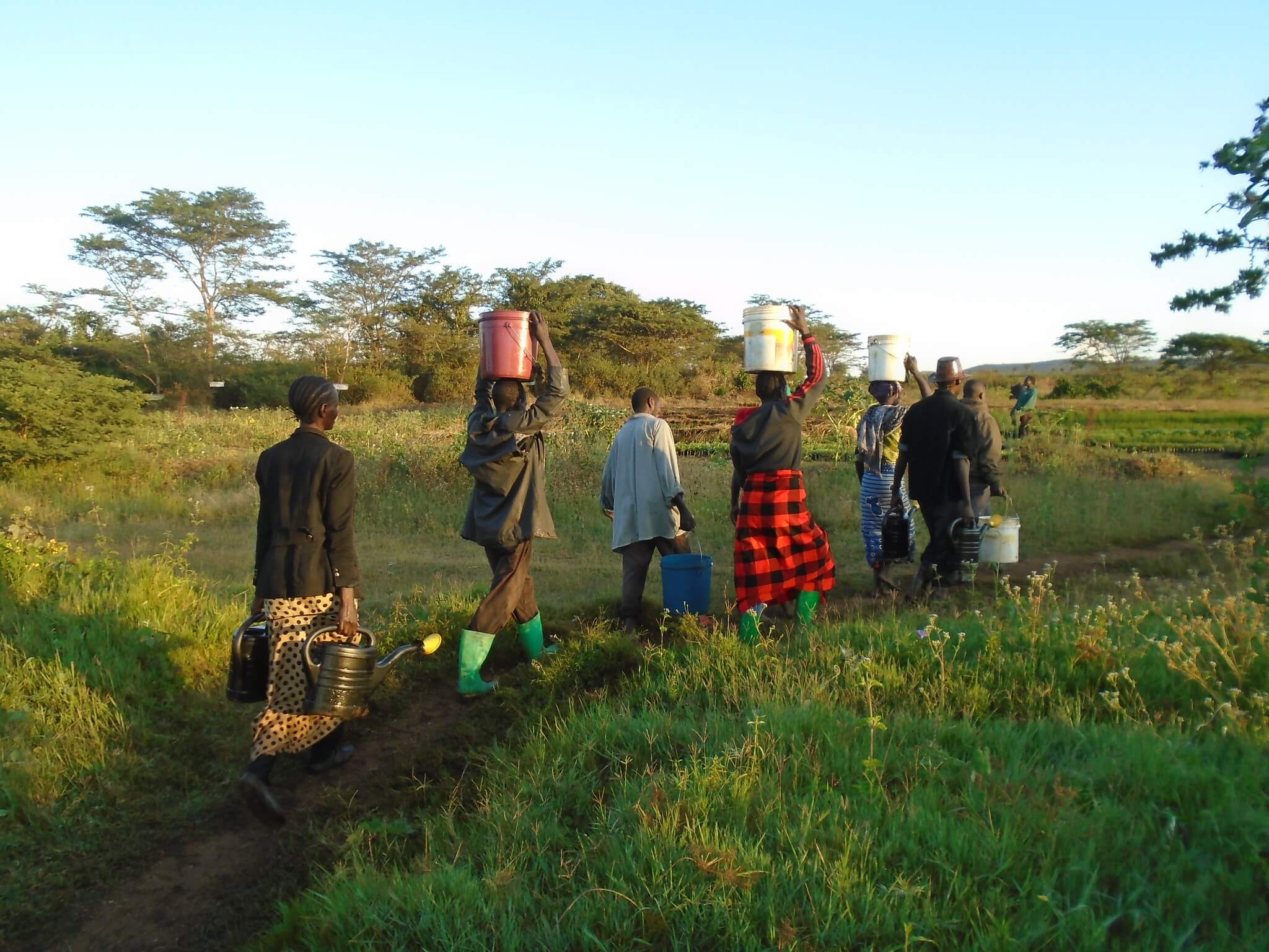 All Projects A-Z - WeForest