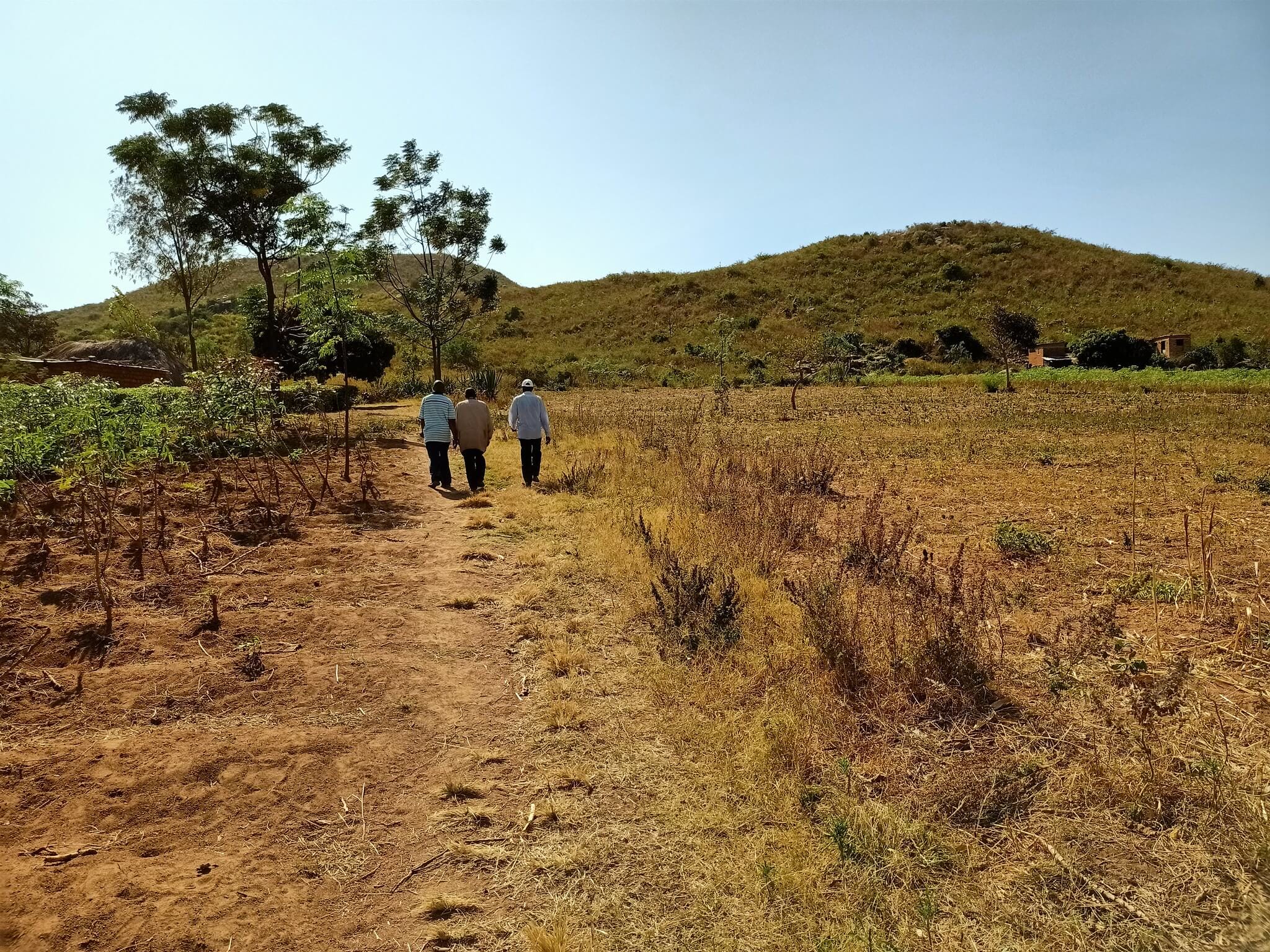 Butiama Hills - WeForest