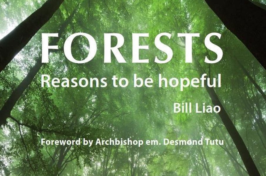 Irish Examiner - Future Reforestation Hope - WeForest