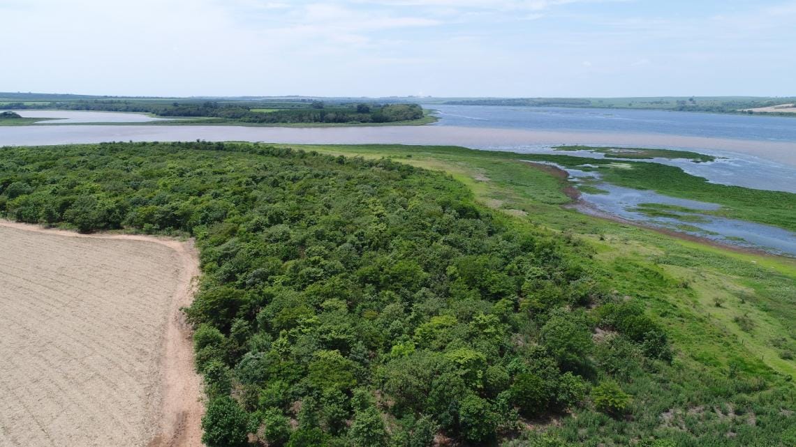 Innovative Herbicide-Free Approach: Tietê Forests Project