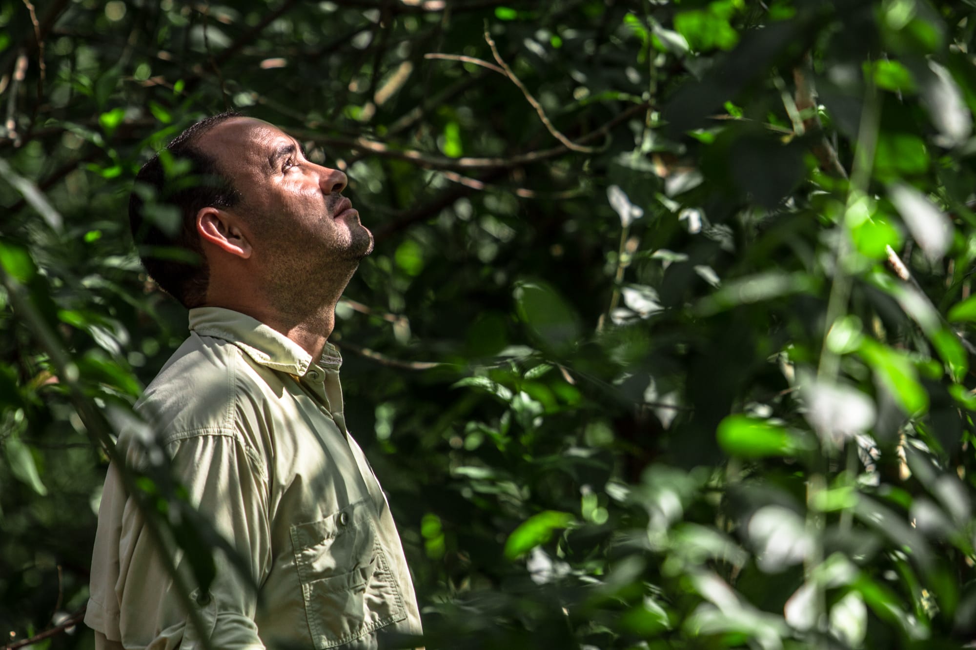 Analyzing Project Failures: WeForest's Learning Approach