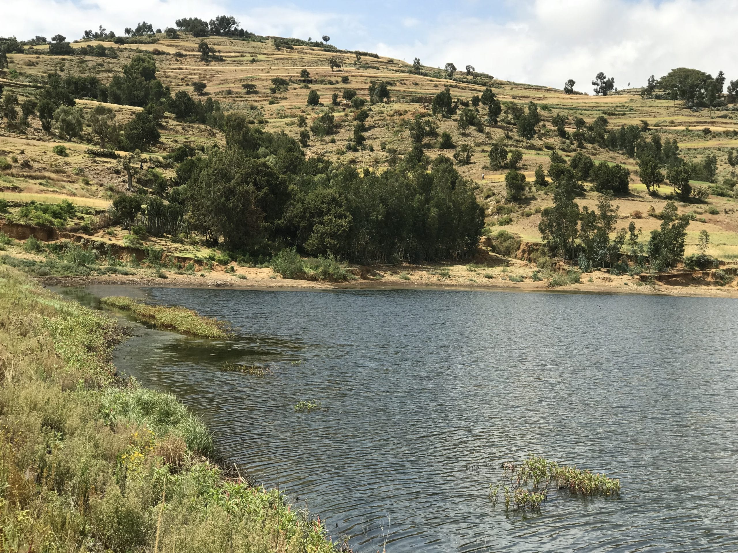 Setting Standards - Forest Restoration - WeForest