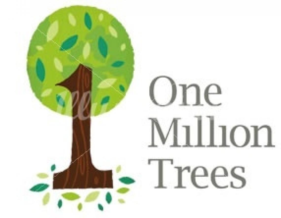 Milestone: 400,000 Trees Planted and Counting - WeForest