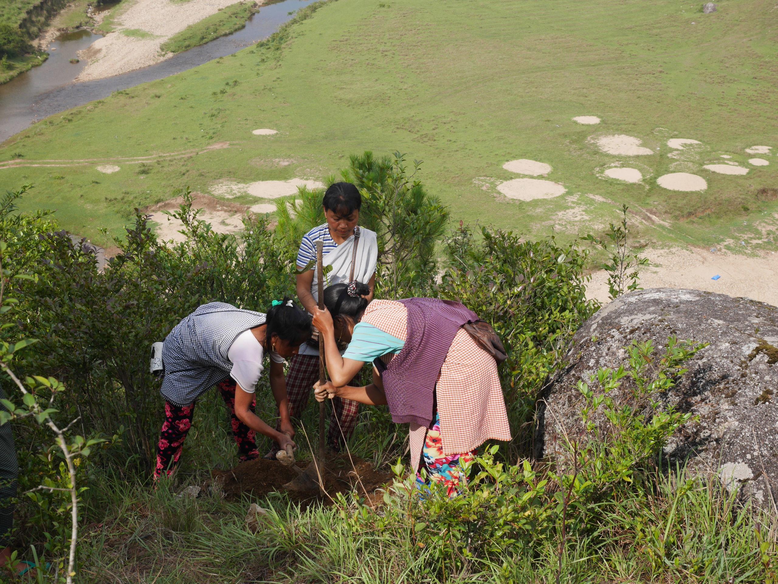 New video for WeForest’s Khasi Hills project - WeForest