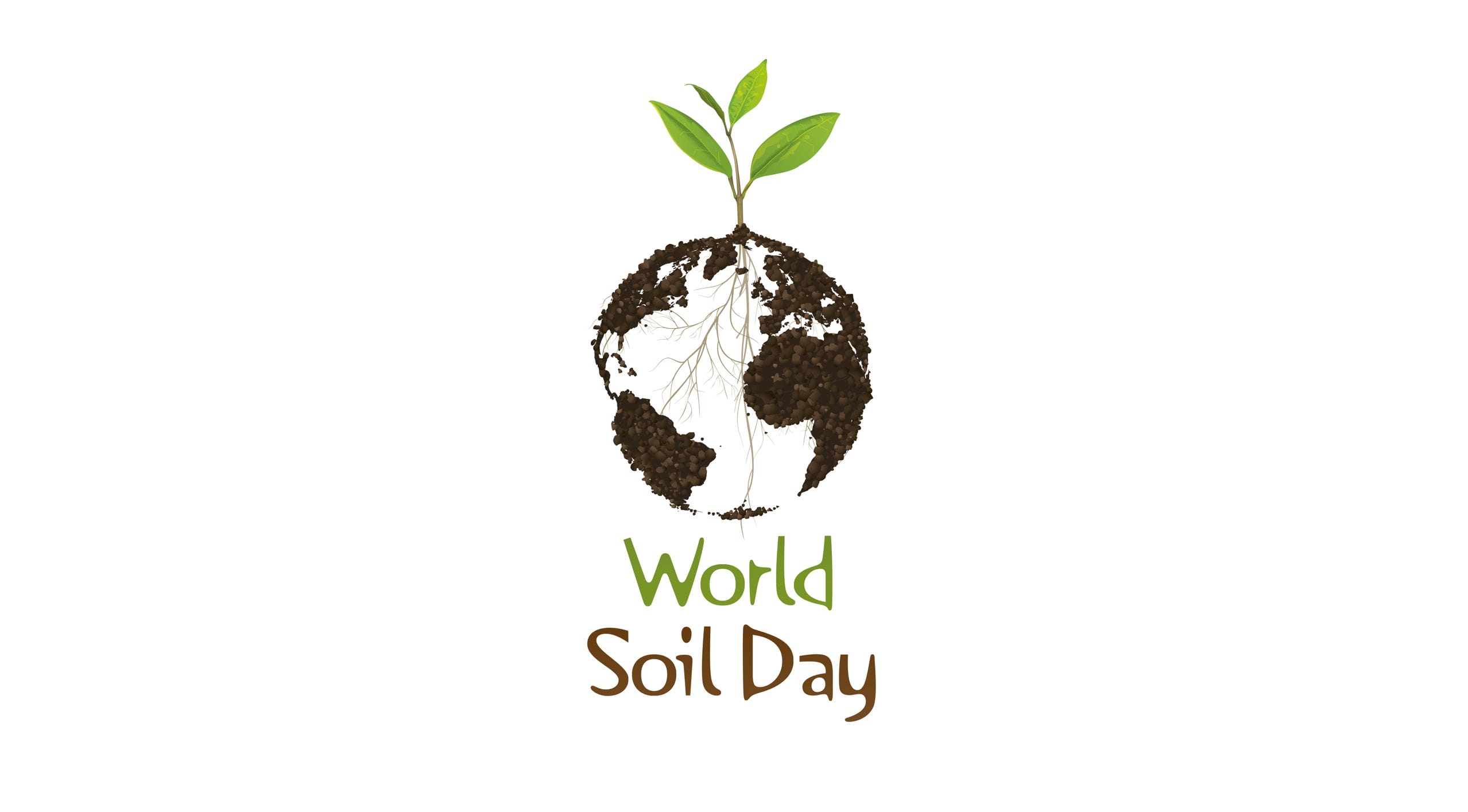Embracing World Soil Day: WeForest's Celebratory Effort
