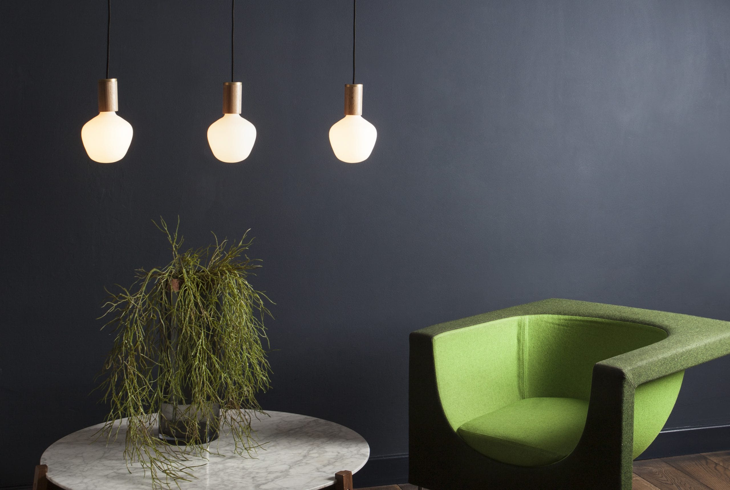 Tala launches partnership with WeForest - WeForest