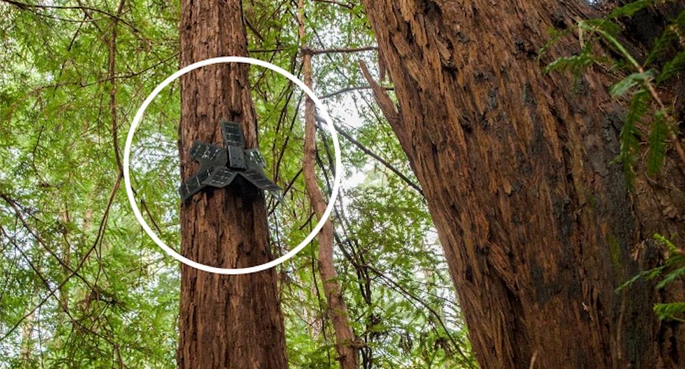 How technology can fight deforestation - WeForest