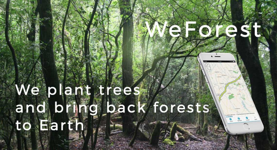 Efficiency & Transparency Boost - WeForest