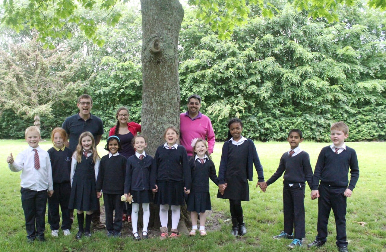 Ireland's Beloved Tree: WeForest's Cultural Connection