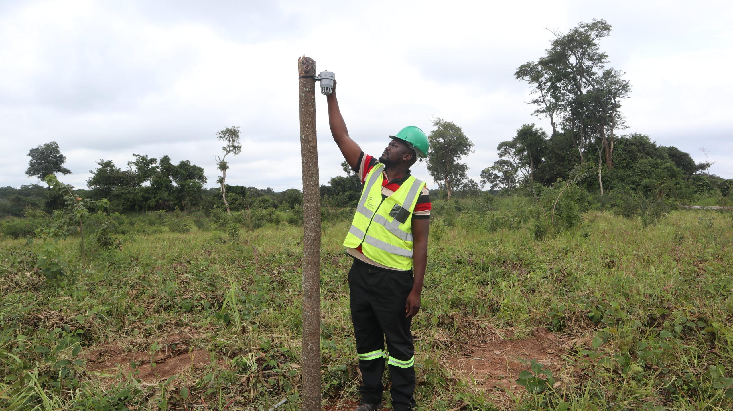 New research on ground-level ozone - WeForest