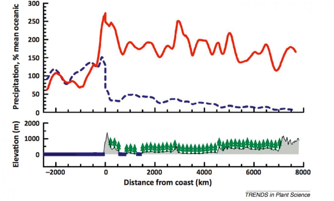 Plants and Water Nexus: WeForest's Ecological Insight