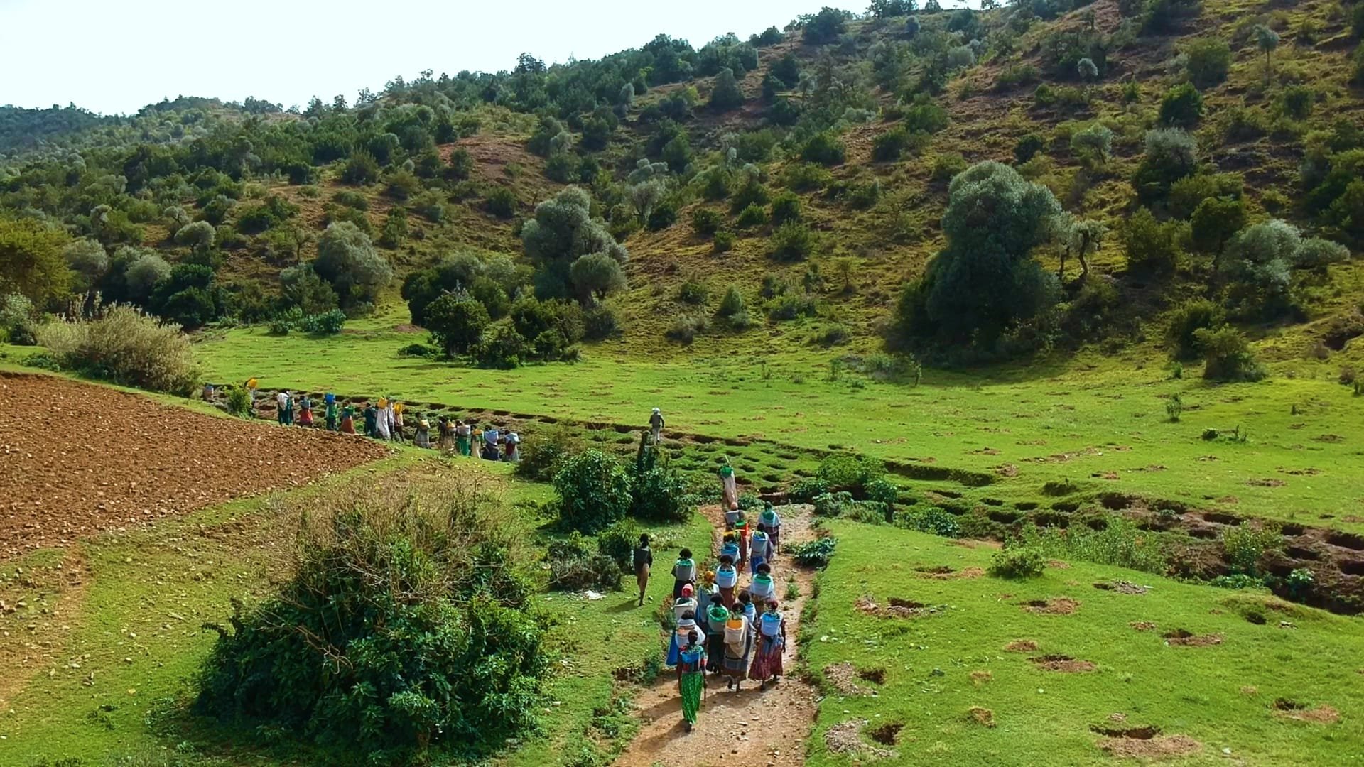 IPCC Special Report, "Global Warming of 1.5°C" - WeForest